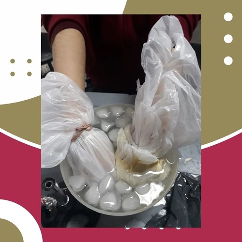 Experimento de Biología | Colegio Leonardo Da Vinci